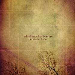 What Mad Universe Head of Collumn (MCD)- Spirit of Metal Webzine (pt)