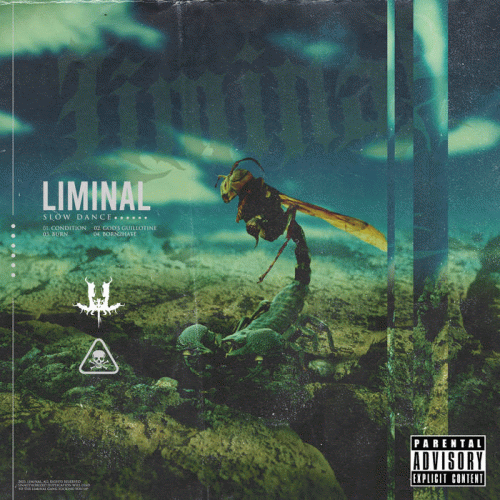 Liminal (USA) Slow Dance (EP)- Spirit of Metal Webzine (fr)