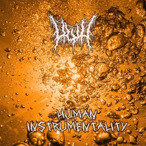 UwU Human Instrumentality (Single)- Spirit of Metal Webzine (de)