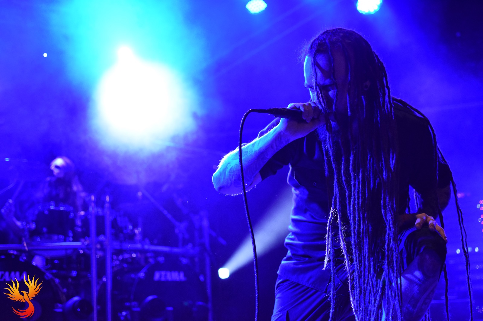 Decapitated (PL) - discography, line-up, biography, interviews, photos