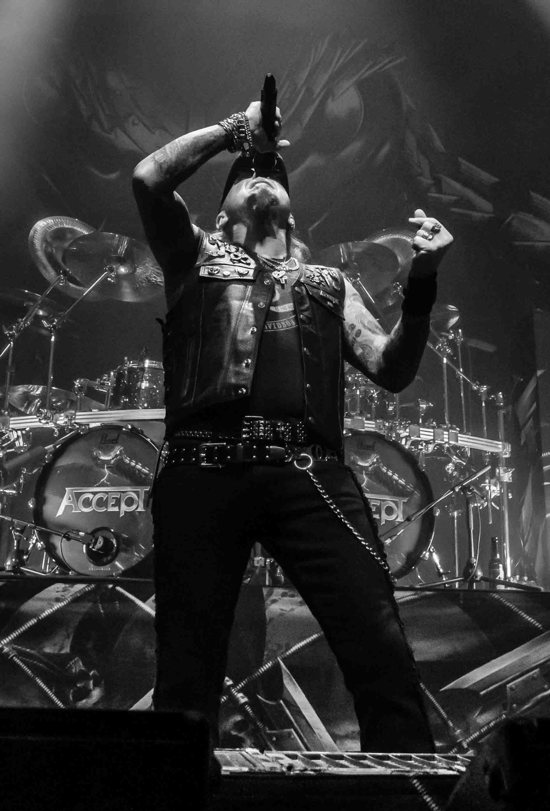 Accept - discography, line-up, biography, interviews, photos