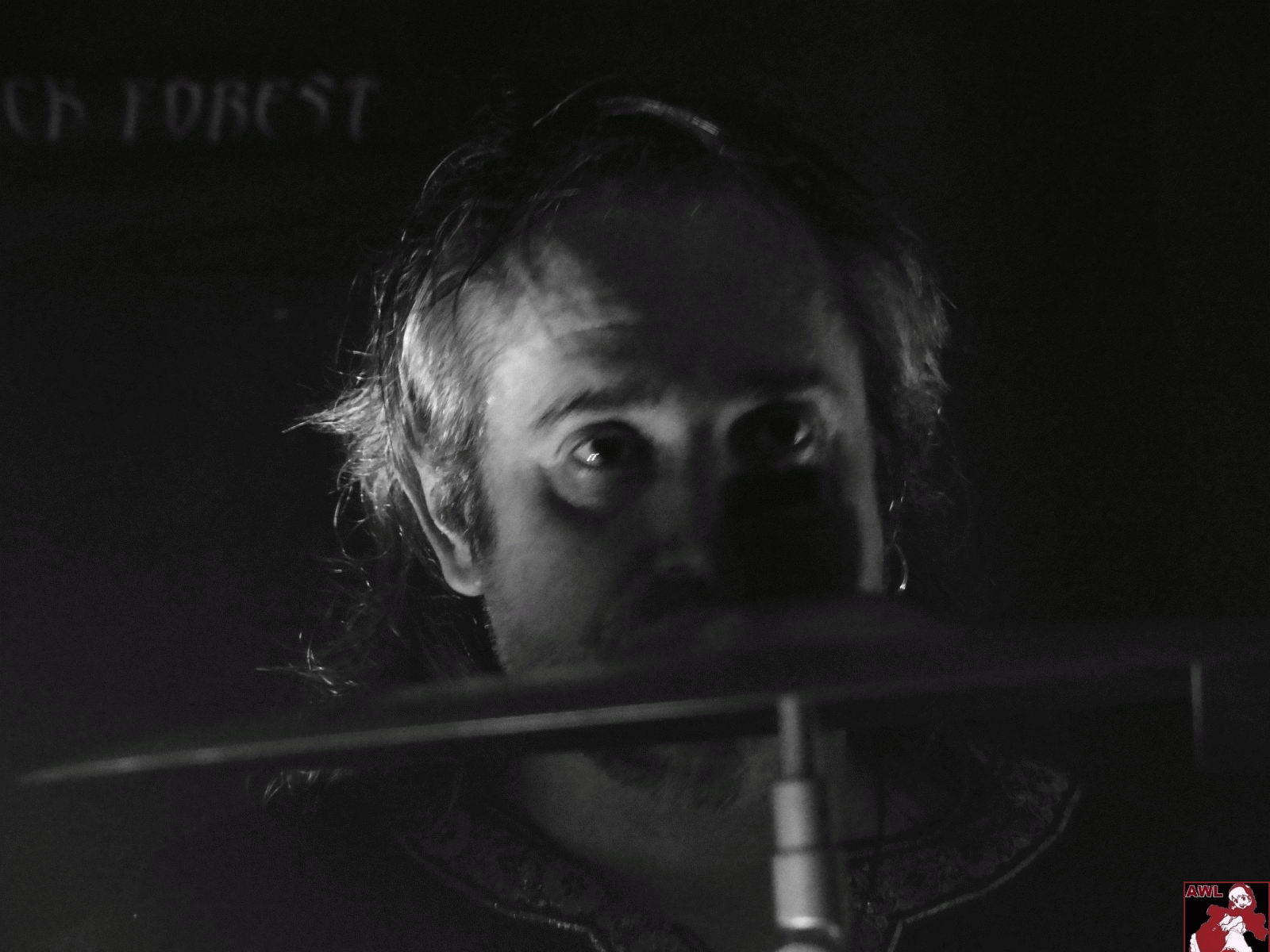 Le Showcase - Angoulême 2018 (Wergeld) : Galerías fotos - Spirit of ...