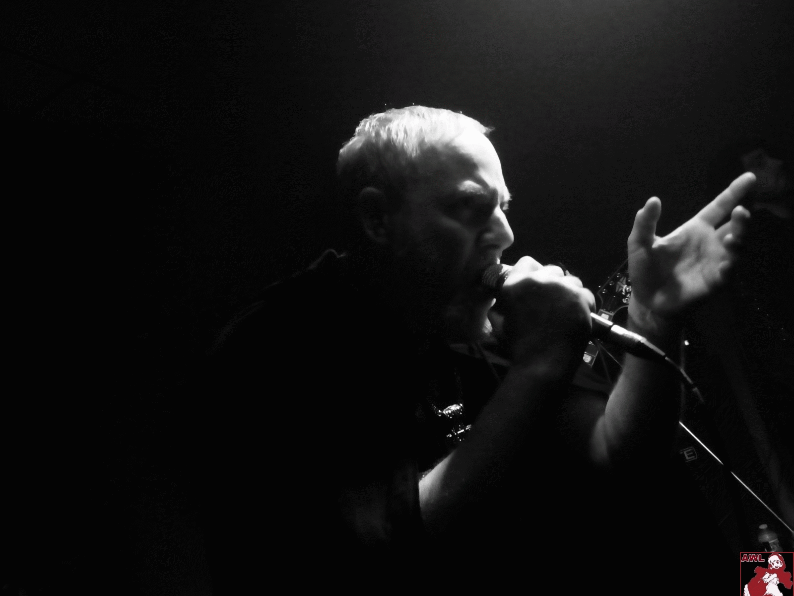 Le Showcase - Angoulême 2018 (Wergeld) : Galerías fotos - Spirit of ...