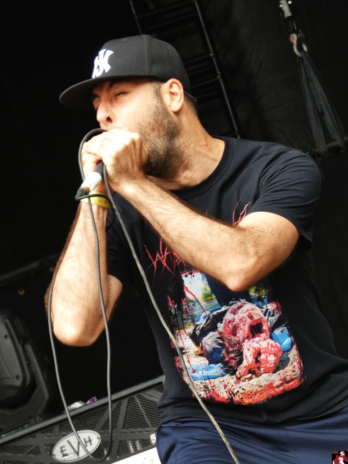 Waking The Cadaver - discography, line-up, biography, interviews, photos