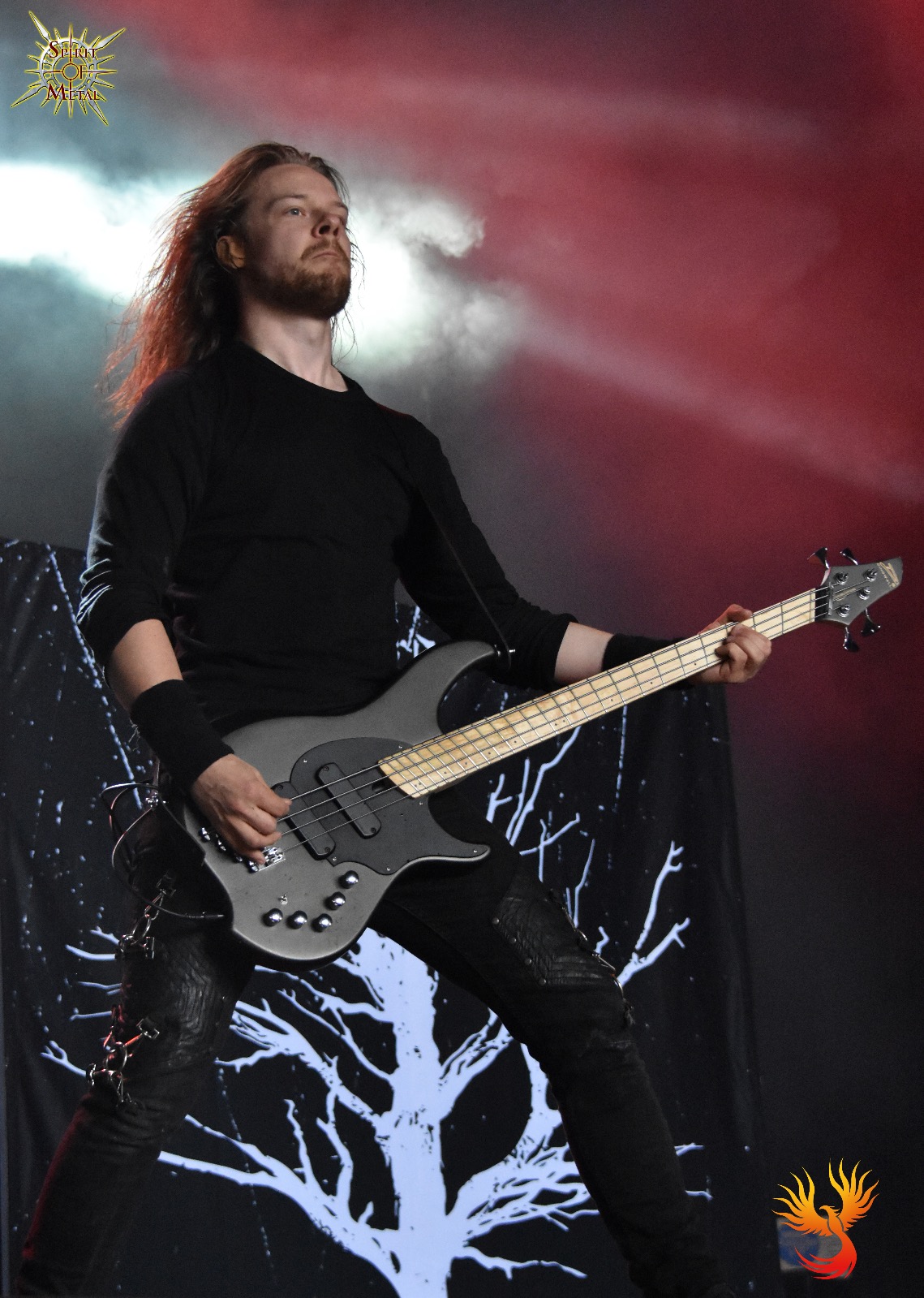 Wolfheart @ Hellfest 2019 : Photos galeries - Spirit of Metal Webzine