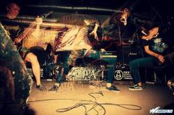 After Nine Comes Forty - discography, line-up, biography, interviews ...