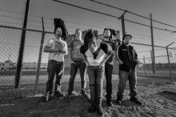 Cicada - discography, line-up, biography, interviews, photos