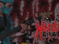 Cirugia Macabra - discography, line-up, biography, interviews, photos