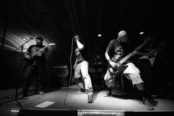 Cursed Bloodlines - discography, line-up, biography, interviews, photos