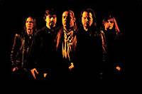 David Shankle Group - discography, line-up, biography, interviews, photos