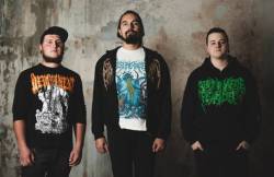 Decomposition Of Entrails - discography, line-up, biography, interviews ...