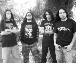 Disgorge (MEX) - discography, line-up, biography, interviews, photos