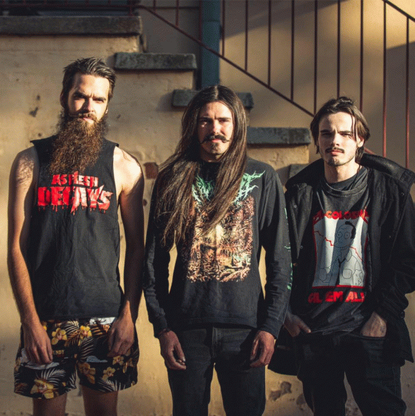 Dread The Winter - discography, line-up, biography, interviews, photos