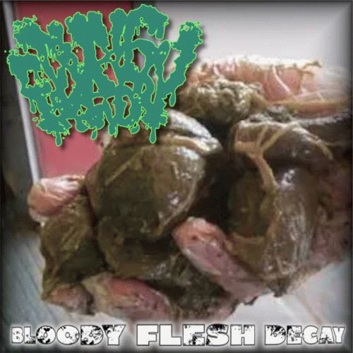 Dung Factory Bloody Flesh Decay (Demo)- Spirit of Metal Webzine (es)