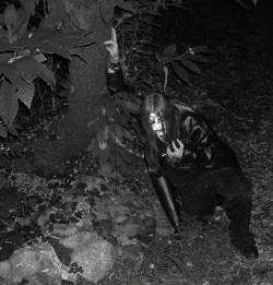 Efir - discography, line-up, biography, interviews, photos