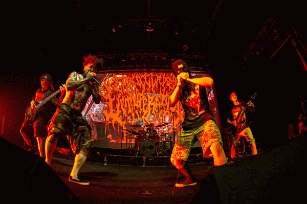 Emasculated Vituperation - discography, line-up, biography, interviews ...