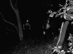 Eterul - discography, line-up, biography, interviews, photos