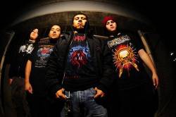 Fallen Figure - discography, line-up, biography, interviews, photos