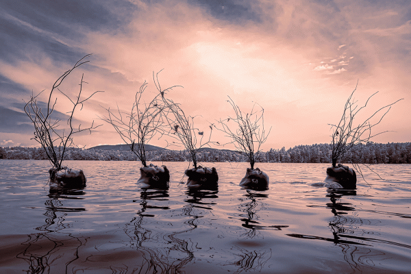 Fallen Monarch - discography, line-up, biography, interviews, photos