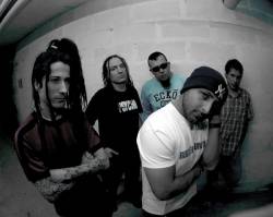 Folder - discography, line-up, biography, interviews, photos