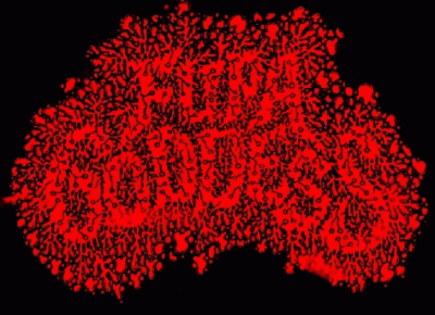 Fupa Goddess - discography, line-up, biography, interviews, photos