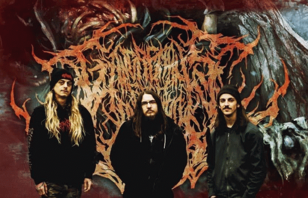 Gangrenous Flesh Consumption - discography, line-up, biography ...