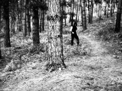 Guland - discography, line-up, biography, interviews, photos