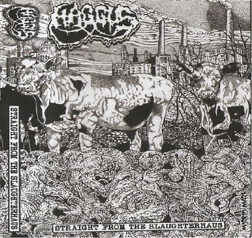 Haggus - discography, line-up, biography, interviews, photos
