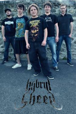 Hybrid Sheep - discography, line-up, biography, interviews, photos