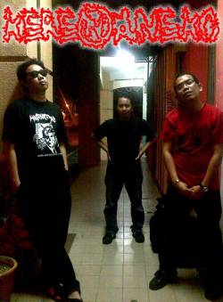 Kerenaneko - discography, line-up, biography, interviews, photos