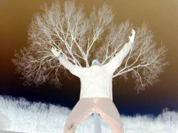 Light Shall Prevail - discography, line-up, biography, interviews, photos