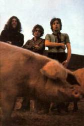 My Solid Ground - discography, line-up, biography, interviews, photos