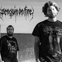 Penguin On Fire - discography, line-up, biography, interviews, photos