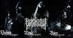 Pestilential Shadows - discography, line-up, biography, interviews, photos
