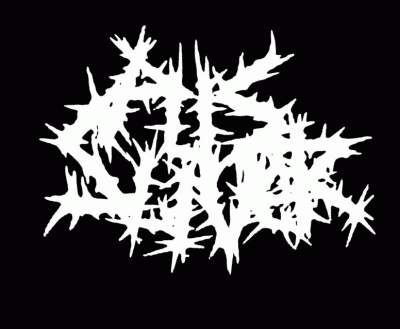 Pus Sliver - discography, line-up, biography, interviews, photos