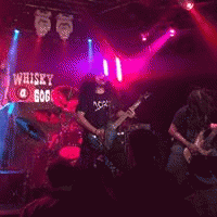 Ravage Realm - discography, line-up, biography, interviews, photos