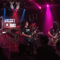 Ravage Realm - discography, line-up, biography, interviews, photos