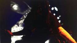 Ruò Tán - discography, line-up, biography, interviews, photos