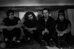 Shields - discography, line-up, biography, interviews, photos