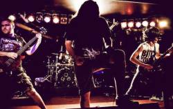 Signal The Firing Squad - discography, line-up, biography, interviews ...