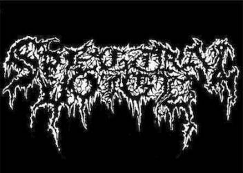 Spectral Voice - discography, line-up, biography, interviews, photos