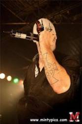 Tenafly Viper - discography, line-up, biography, interviews, photos