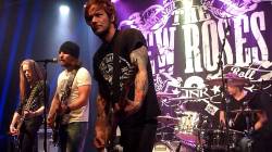 The New Roses - discography, line-up, biography, interviews, photos