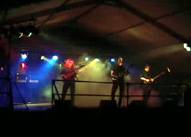 The Wild Mild - Diskografie, Line-Up, Biografie, Interviews, Fotos