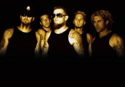 The Workhorse Movement - discography, line-up, biography, interviews ...