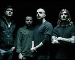 Throwdown - discography, line-up, biography, interviews, photos