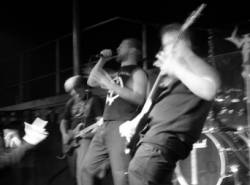 Tribune - discography, line-up, biography, interviews, photos