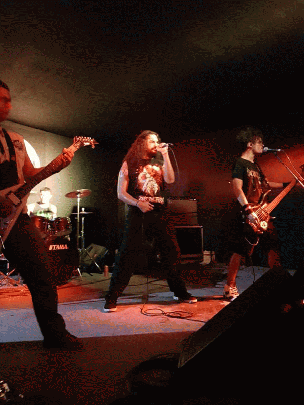 Viollen - discography, line-up, biography, interviews, photos