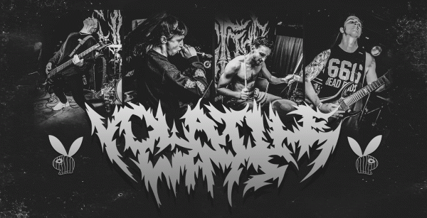 Volatile Ways - discography, line-up, biography, interviews, photos