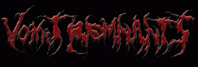Vomit Remnants - discography, line-up, biography, interviews, photos